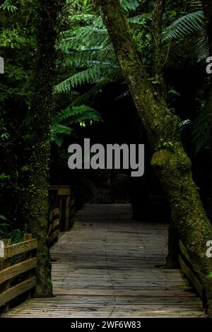 Paradise Valley Springs, Rotorua Stock Photo - Alamy