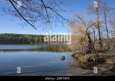 Sacrower See und Königswald, Potsdam, Brandenburg, Deutschland Stock ...