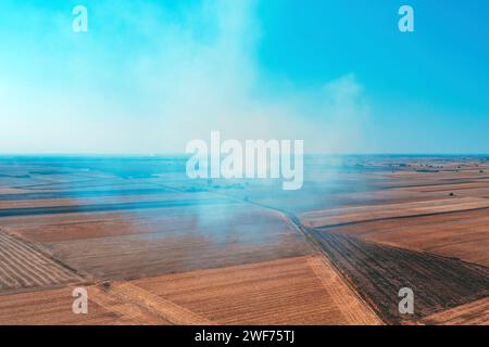 Wheat field stubble burning after the harvesting of grains is one of ...
