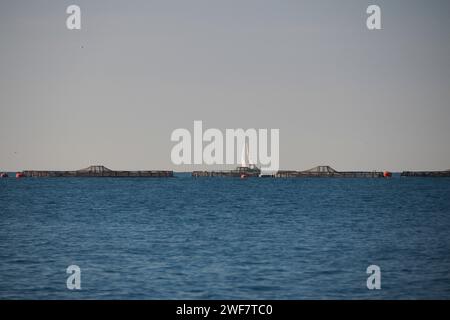 Small fish farm in ligurian mediterranean breeding sea bream at sea ...