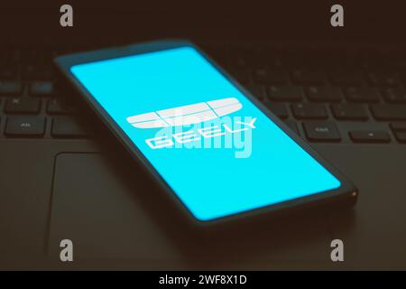 In this photo illustration, the Geely Automobile logo is displayed on a ...