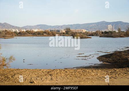 Natural Lagoons of Natural Park Guadalhorce estuary nature reserve ...