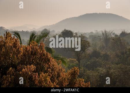 Morning atmosphere, jungle, Addateegala, Andhra Pradesh, India, Asia ...