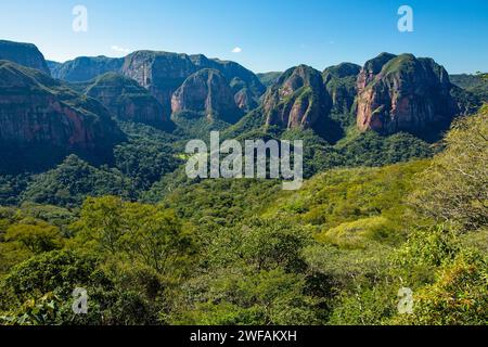 Amboro National Park Bolivia Stock Photo - Alamy