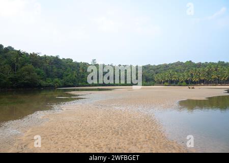 Agonda, Goa, India, Landscape along river with palm trees and mangroves ...
