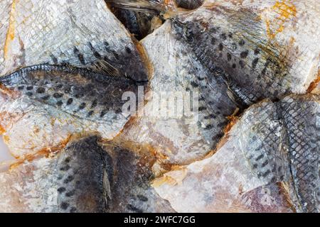 Dry salted yellowstripe scad. Dried small fish isolated, selaroides ...