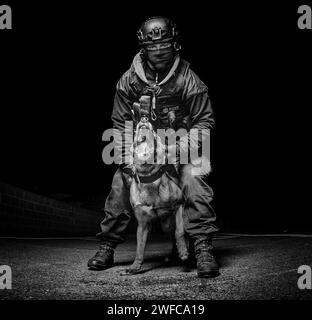 Police dog with handler, UK Stock Photo - Alamy