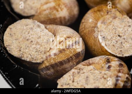 frozen snails in the supermarket as a texture Stock Photo - Alamy