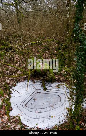 Shell hole, Douaumont fortress area, Verdun region, Meuse, France Stock ...