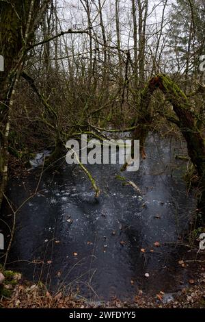 Shell hole, Douaumont fortress area, Verdun region, Meuse, France Stock ...