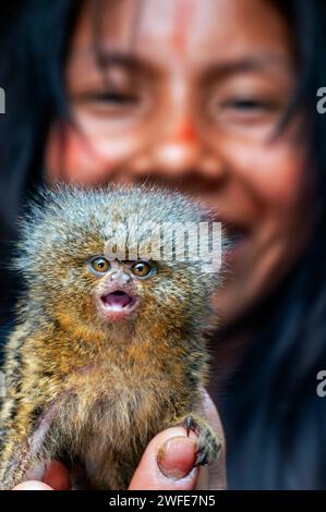Pet pygmy marmoset Yagua Indians living a traditional life near the ...