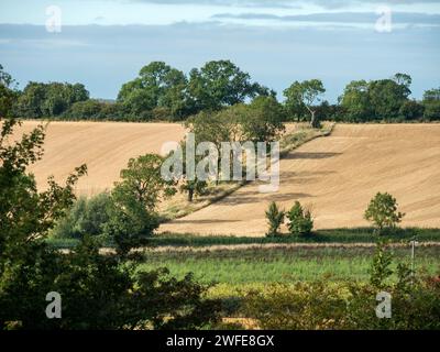 Leicestershire countryside with farm fields and tree lined hedgerow ...