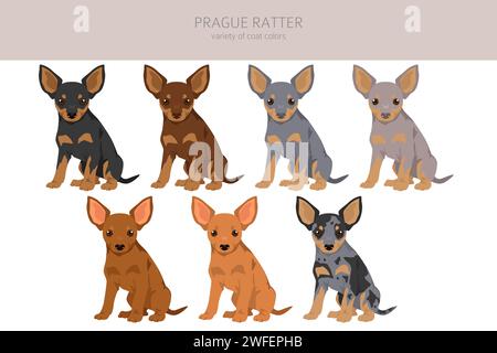 Prague Ratter clipart. All coat colors set. All dog breeds ...