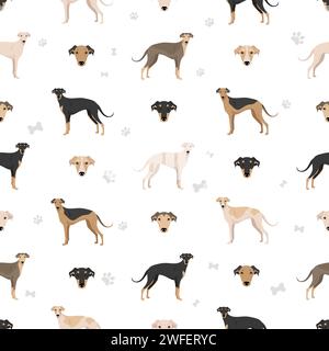 Polish Greyhound puppy clipart. All coat colors set. All dog breeds ...