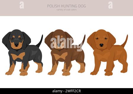 Polish Hunting dog clipart. All coat colors set. All dog breeds ...