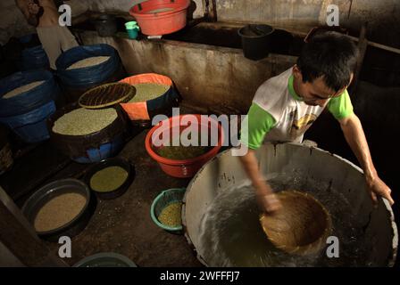 The mung bean sprouts, or toge, asian vegetable Stock Photo - Alamy