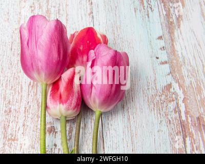 Border from bright pink tulips flowers on black wooden background Stock ...