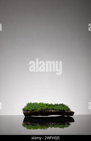 Product showcase backgrounds, Product image background, Photography ...
