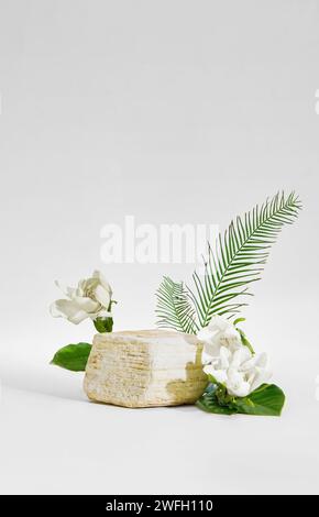 Product showcase backgrounds, product image background, photography ...