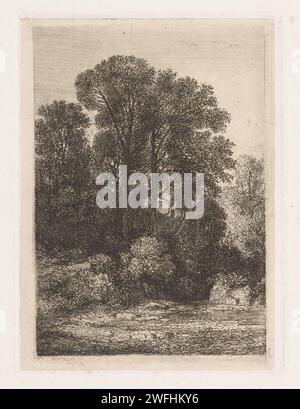 Trees along the banks of a stream, Jean Alexis Achard, 1851 print ...