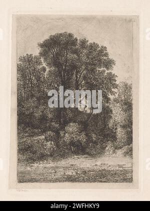 Trees along the banks of a stream, Jean Alexis Achard, 1851 print ...
