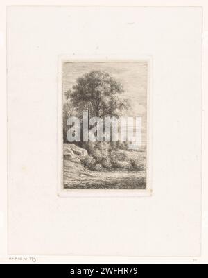 Trees and scrub on a hill, Jean Alexis Achard, c. 1850 print France ...
