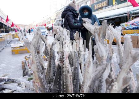 Fuyuan, China's Heilongjiang Province. 31st Jan, 2024. People visit the ...