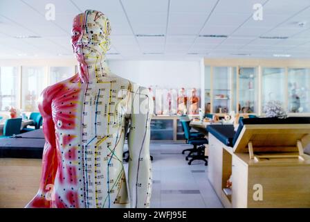 Mannequin with meridian markings for acupuncture treatment and ...