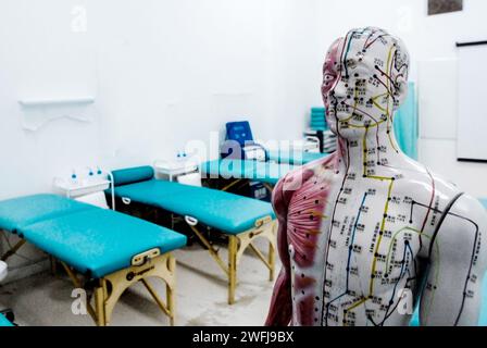 Mannequin with meridian markings for acupuncture treatment and ...