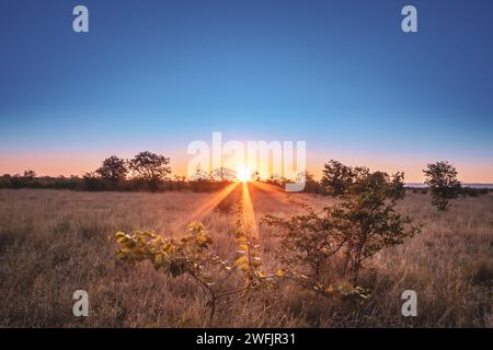 Travelling through a dry bushveld landscape covered in acacia trees at ...