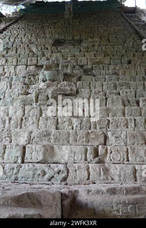 Hieroglyphic Stairway at ancient Mayan City, Copan, Honduras, Central ...