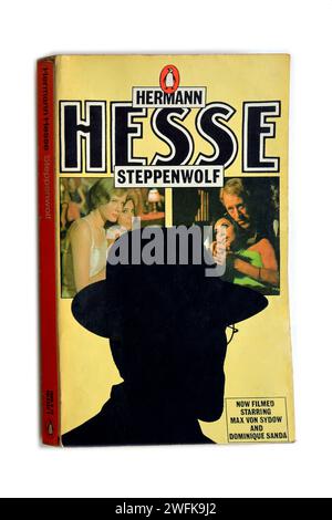 Herman Hesse - Steppenwolf - worn book cover. Studio set up Stock Photo ...