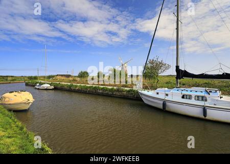 Summer view over Horsey Windpump Broad, Norfolk Broads National Park ...