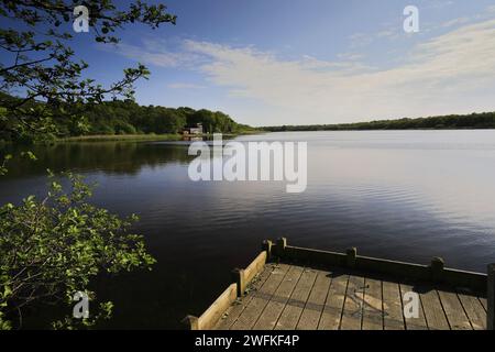 Summer view over Rollesby Broad, Norfolk Broads National Park, England ...