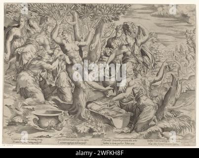 The Birth of Adonis by Francesco Salviati (1544 Stock Photo - Alamy