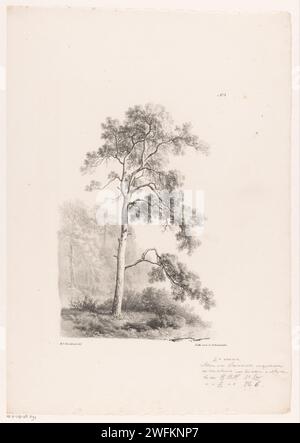 Boom in landscape, Barend Cornelis Koekkoek, 1844 - 1845 print Behind ...