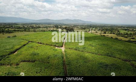 Nakuru, Kenya. 31st Jan, 2024. The aerial photo taken on Jan. 26, 2024 ...