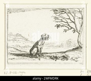 Image of predatory animals lion and lioness in the zoo enclosure Stock ...