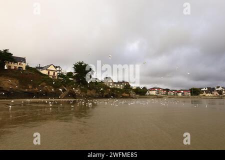 View on the beach of Trez-Bellec located on the peninsula of Crozon ...