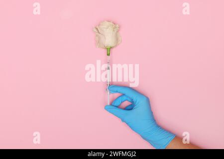 Doctor making injection to rose on pink background, top view. Space for ...
