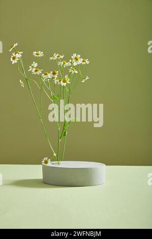 A podium display with white daisy flowers on a solid beige background ...