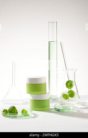An erlenmeyer flask and a glass petri dish of gotu kola leaves on white ...
