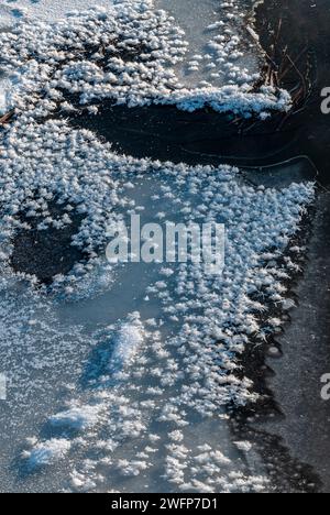 Ice Crystals populate the ice on the winter banks of the East Branch ...