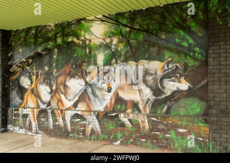 Wolves Street Art by Heesco, Dandenong Market, Dandenong, Victoria ...