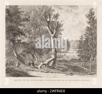 De Wonderboom on Landgoed Elswout, Leendert Overbeek, 1791 print ...