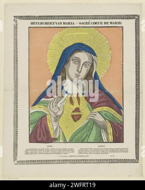 Heylig Hert Van Maria / Sacred Heart of Marie, 1833 - 1911 print Mary ...