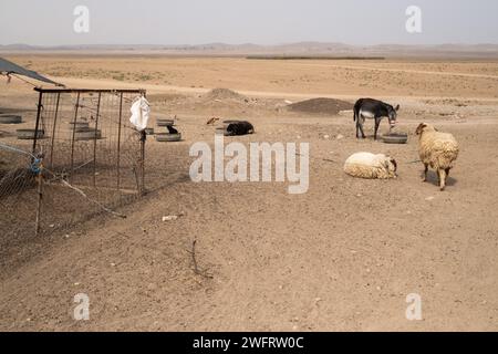 Iraq, Nineveh governorate, countryside around Mosul on 2022-10-19 ...