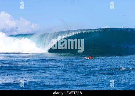 French Polynesia, Tahiti: surfing site at Teahupo'o: woman, surfer ...