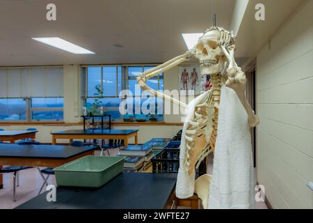 Skeleton with white towel over shoulders and showing emotion with both ...