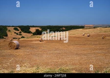 Country landscape near Forenza and Venosa, in Potenza province ...